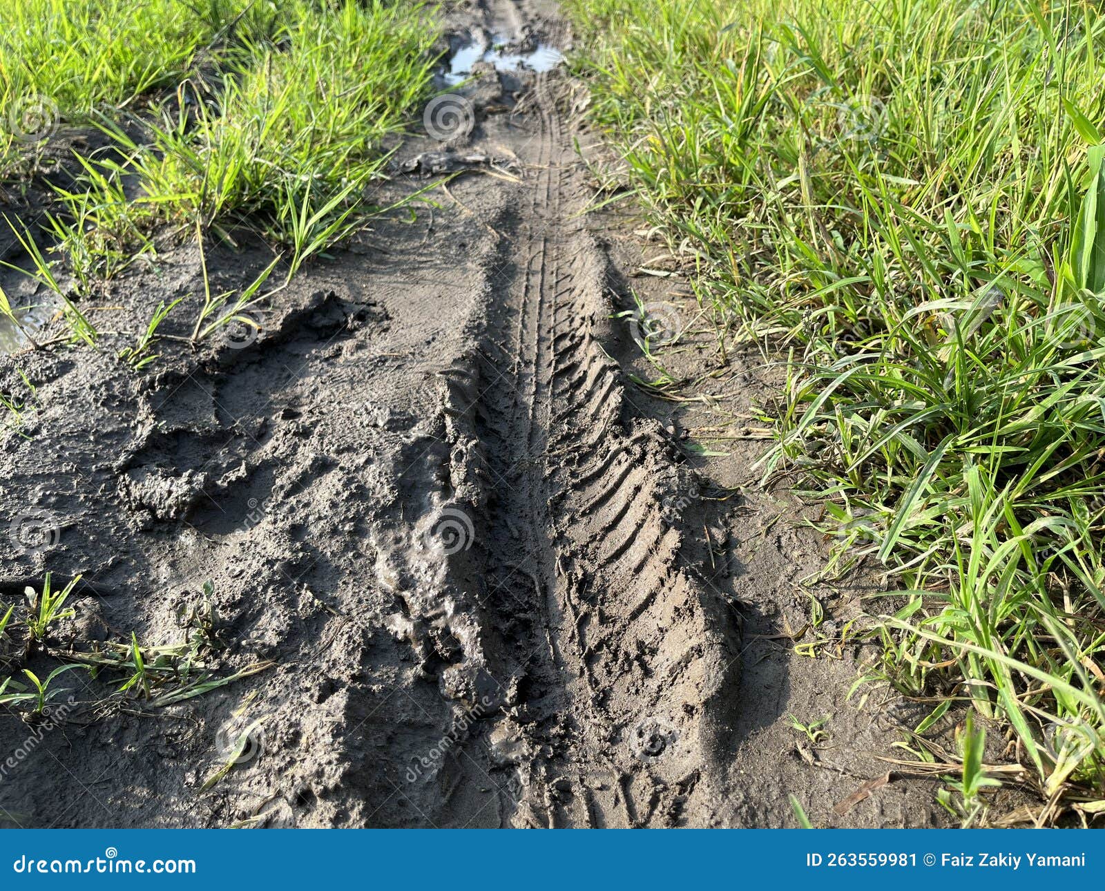 Motorcycle Track on Wet and Muddy Ground Stock Image - Image of muddy ...