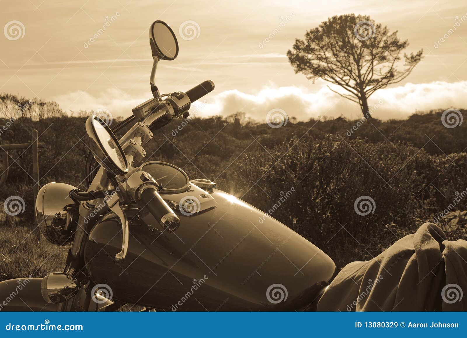 Motorcycle And Tree Royalty-Free Stock Photography | CartoonDealer.com ...