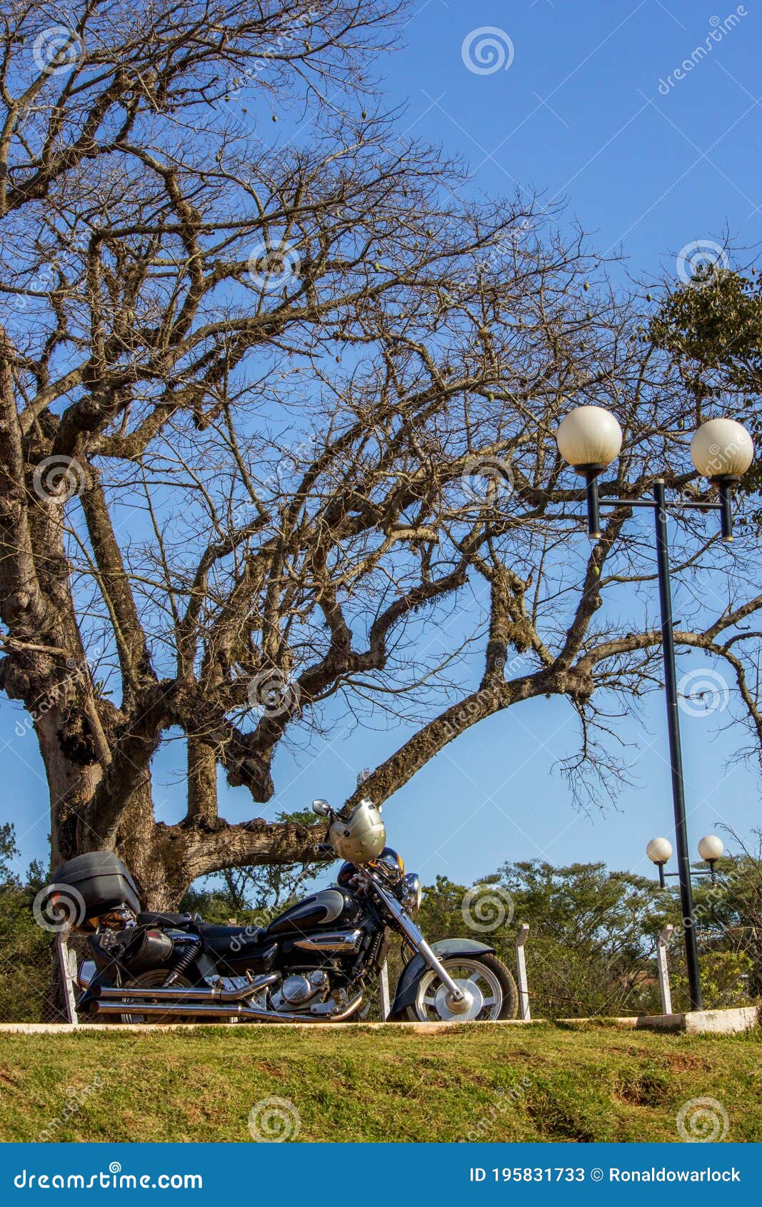 Motorcycle and tree stock image. Image of perfection - 195831733