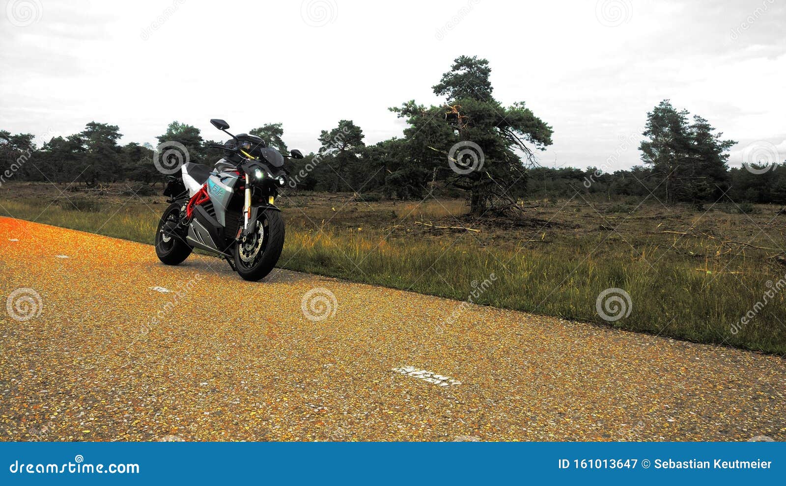 Motorcycle in the wild editorial photography. Image of wild - 161013647