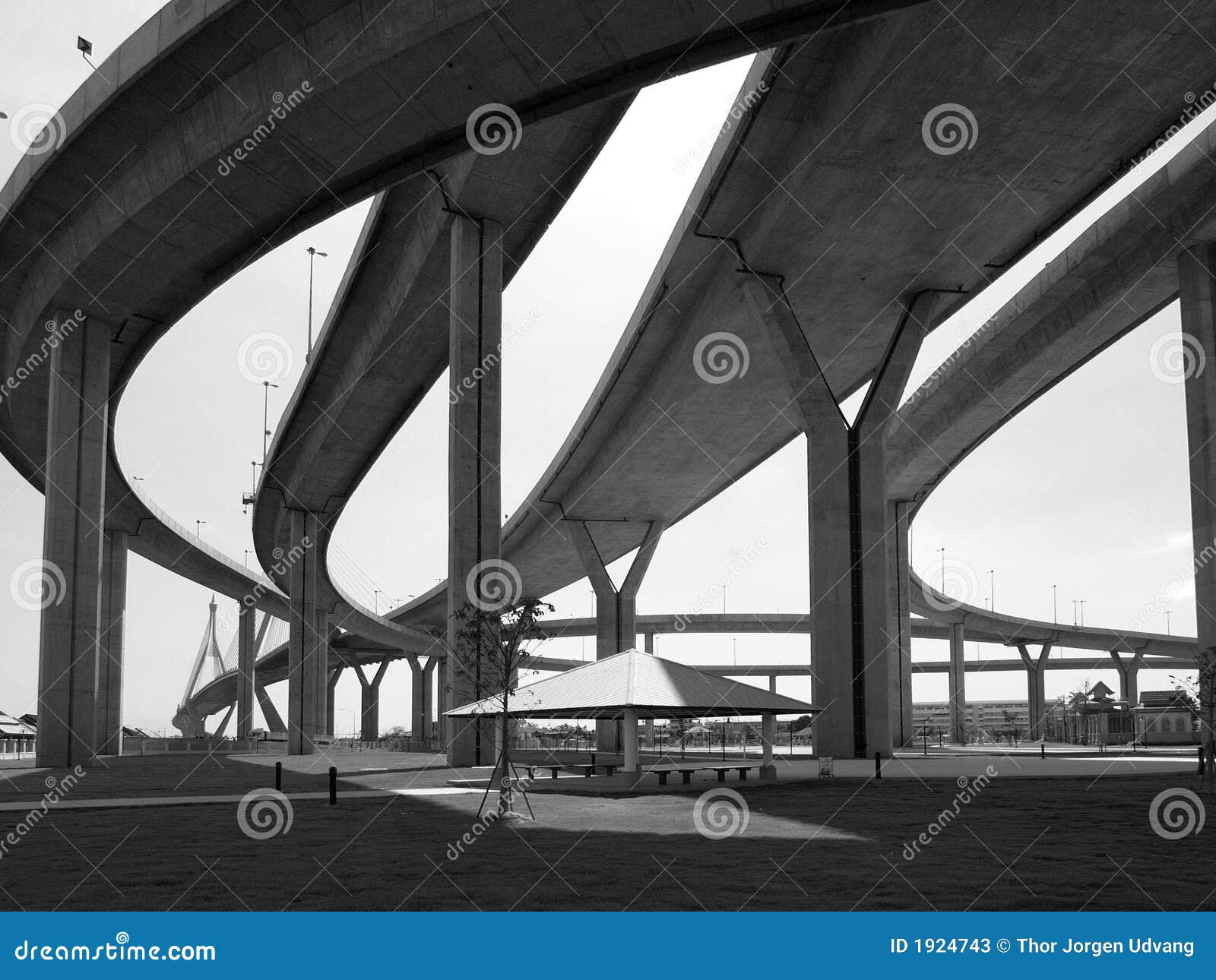 Motorway bridges stock image. Image of concrete, black - 1924743