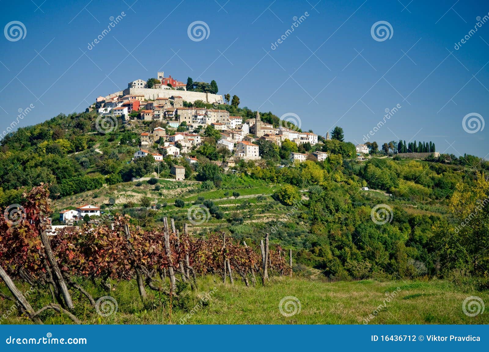 Motovun, Croatia stock photo. Image of nature, croatia - 16436712