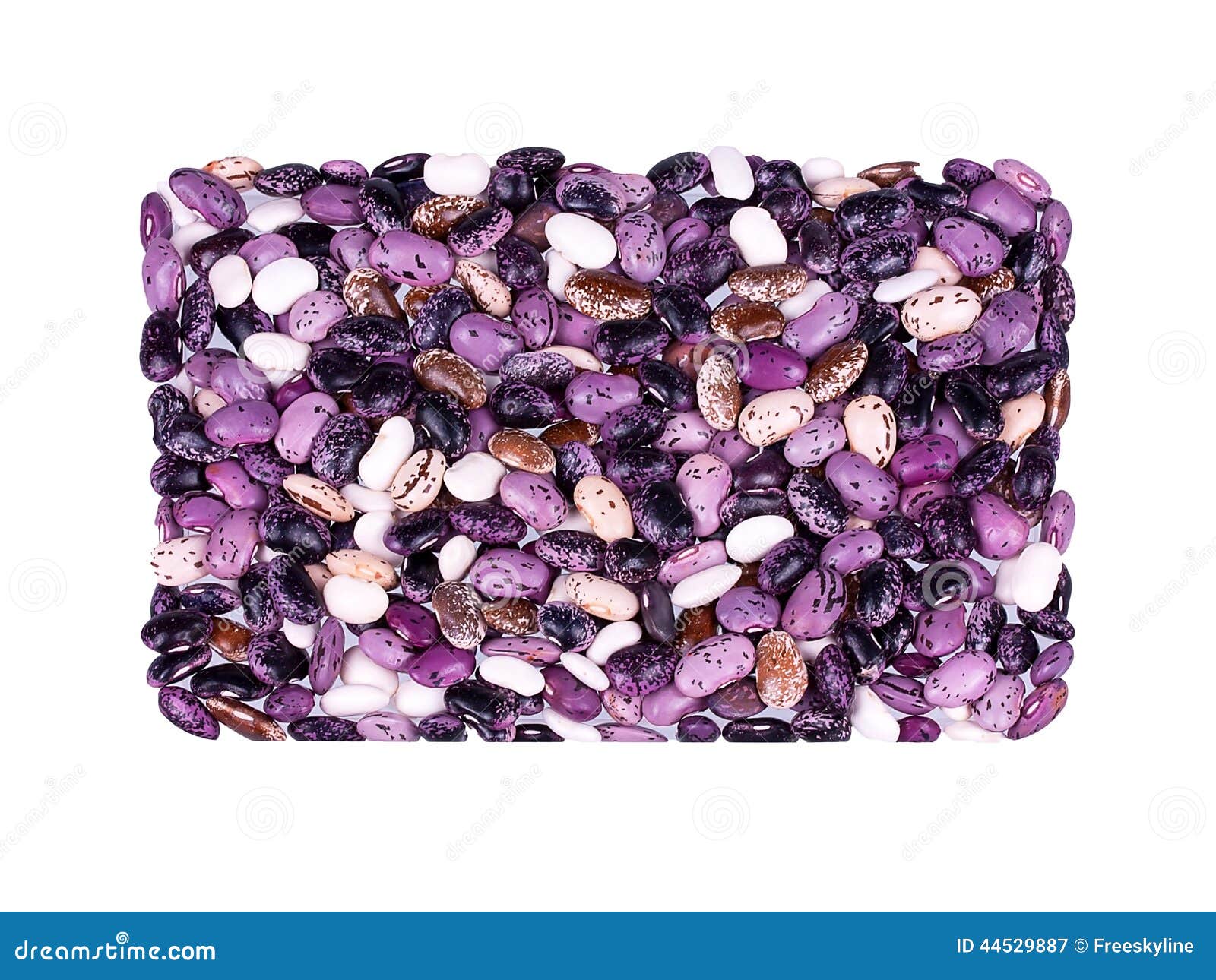 Mottled beans stock image. Image of pile, seeds, gourmet - 44529887