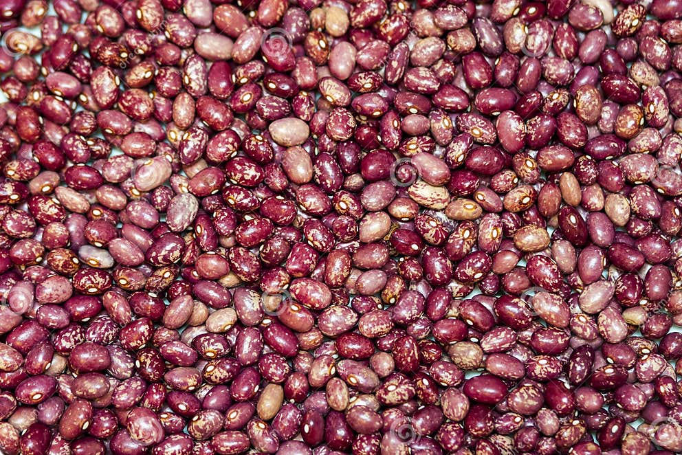Mottled beans stock image. Image of plant, pink, diet - 58718701