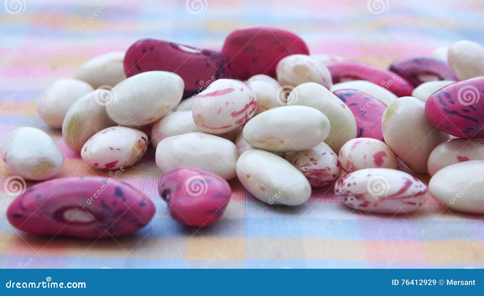 Mottled beans stock image. Image of garden, beans, natura - 76412929