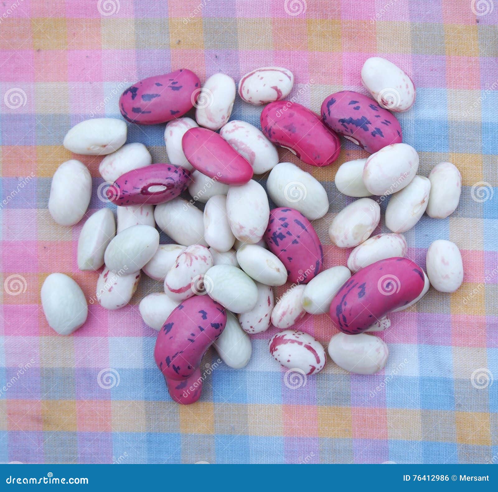 Mottled beans stock photo. Image of beans, cooking, bean - 76412986