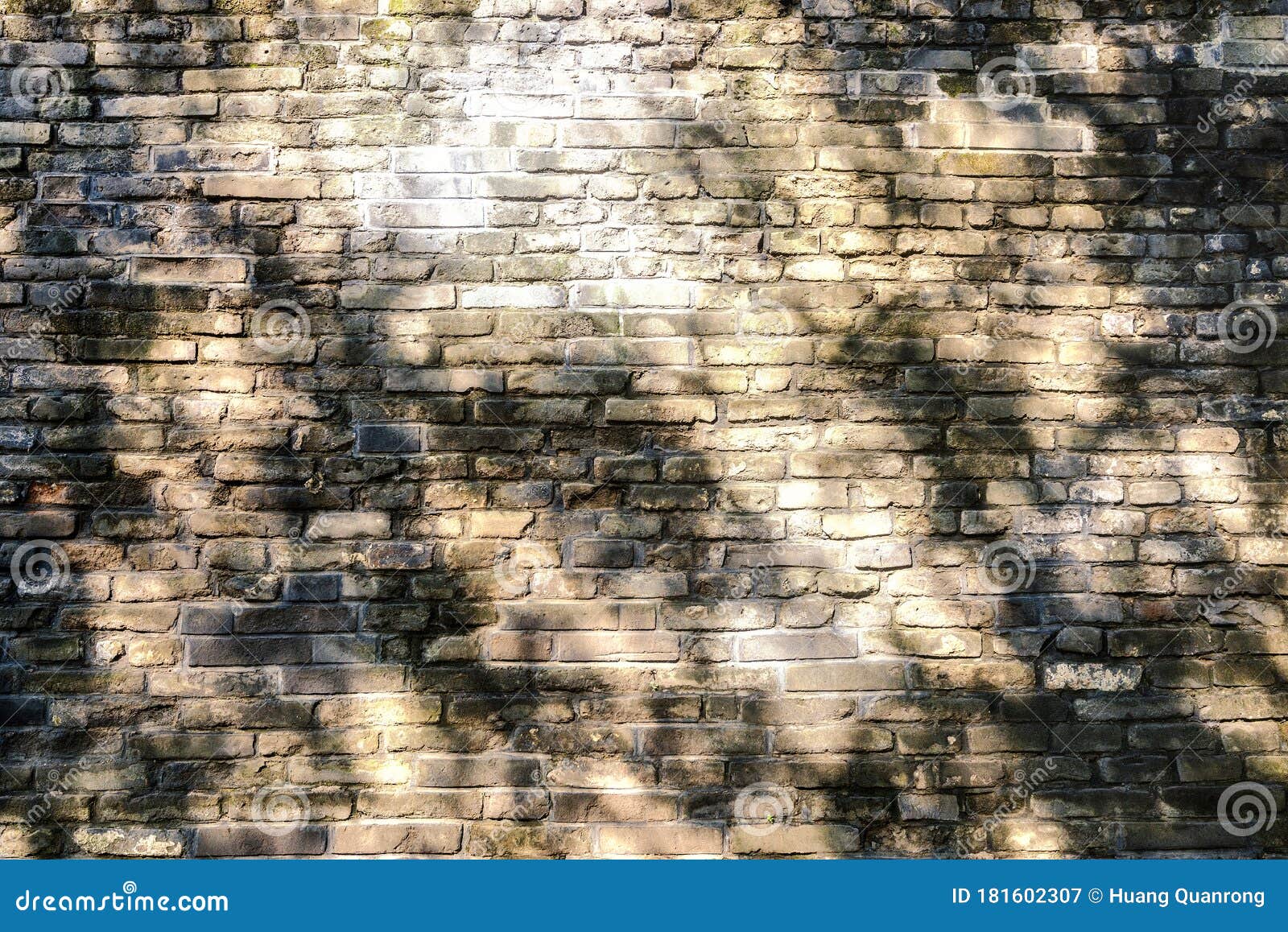Mottled Blue Brick Wall Texture Background of Tree Shadow. Stock Image ...