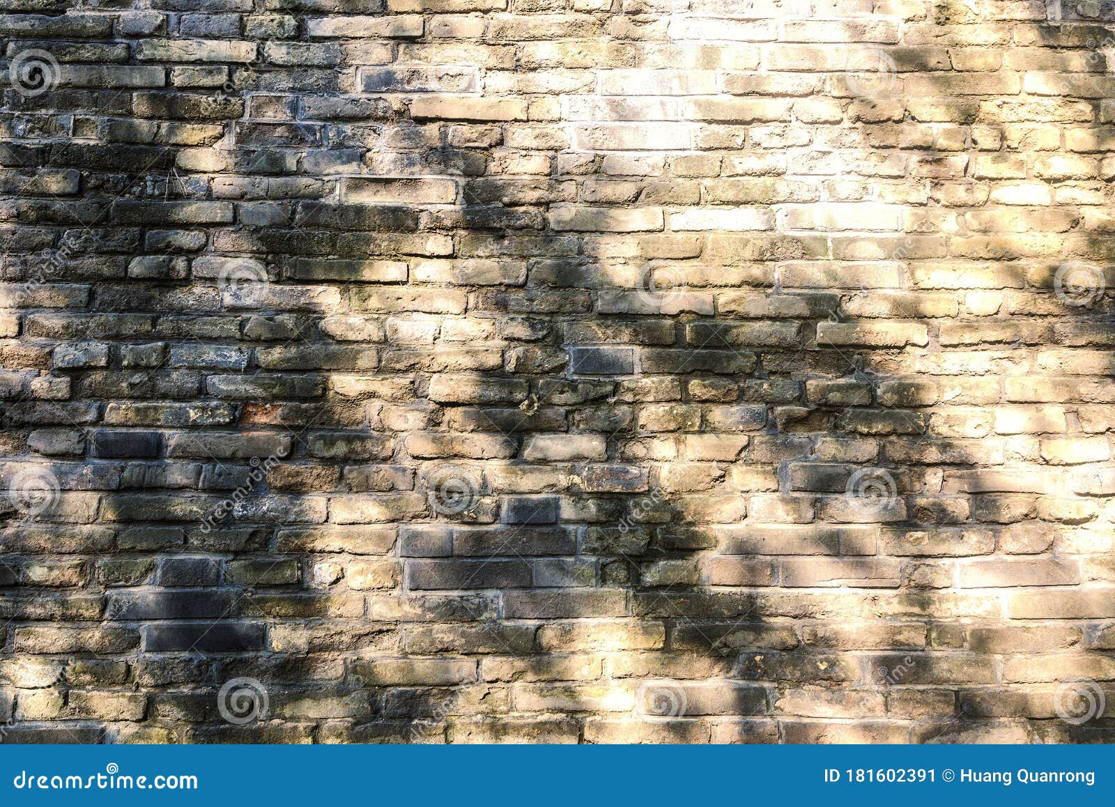 Mottled Blue Brick Wall Texture Background of Tree Shadow. Stock Image ...