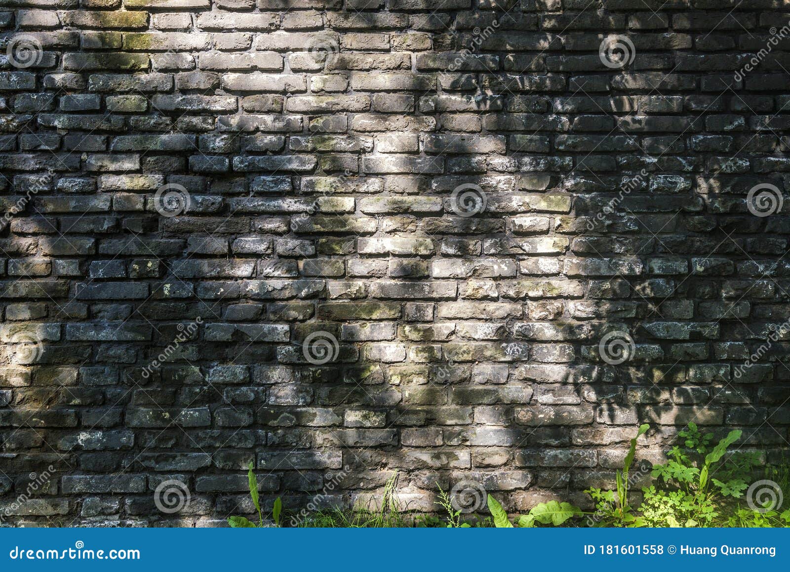 Mottled Blue Brick Wall Texture Background of Tree Shadow. Stock Photo ...