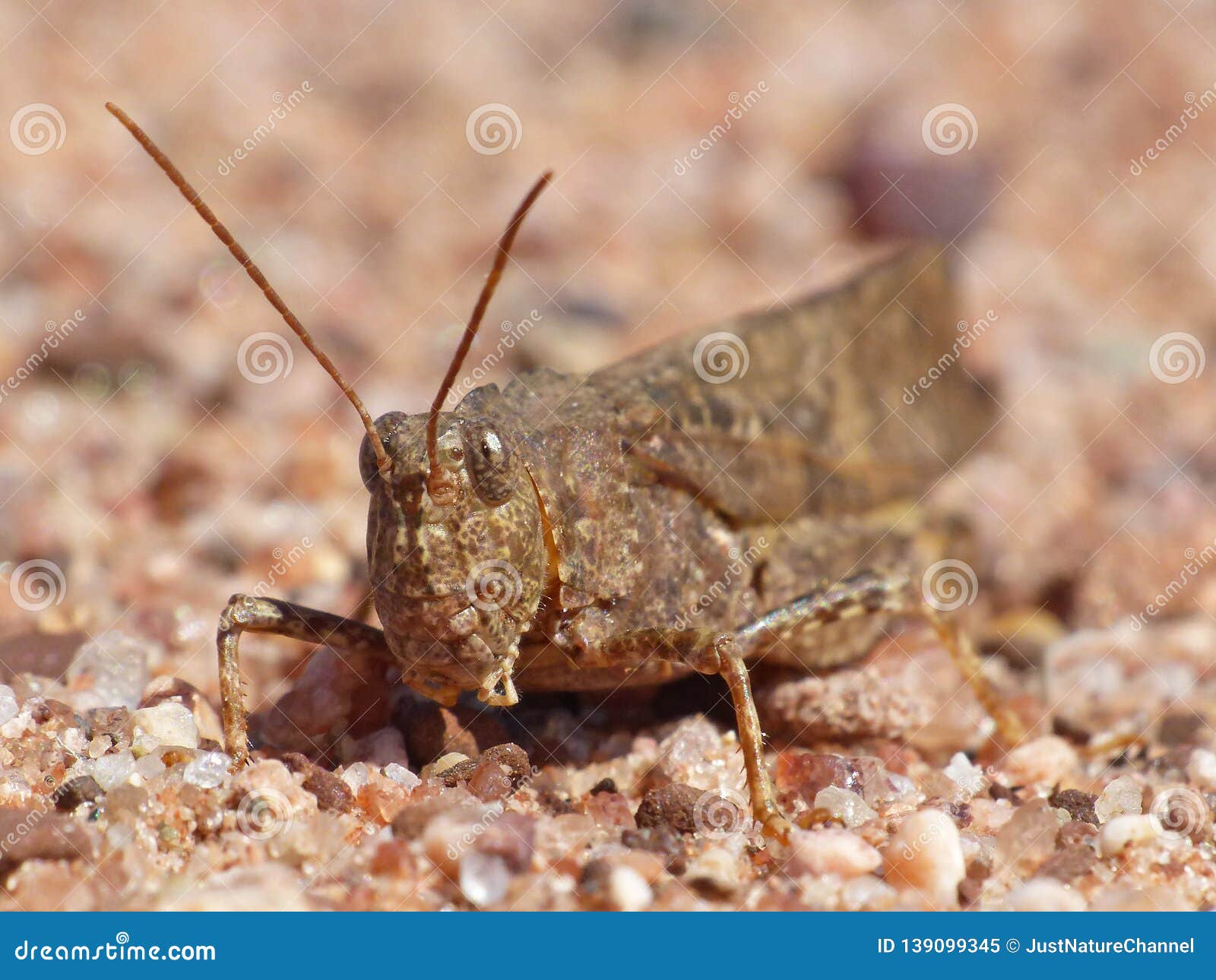 Old Mottled Brown Cracked Stone Wall Background Royalty-Free Stock ...