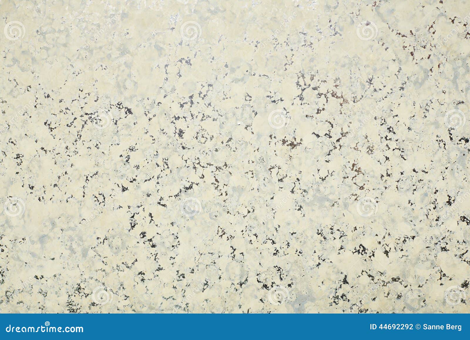 Mottled surface stock photo. Image of full, yellow, close - 44692292