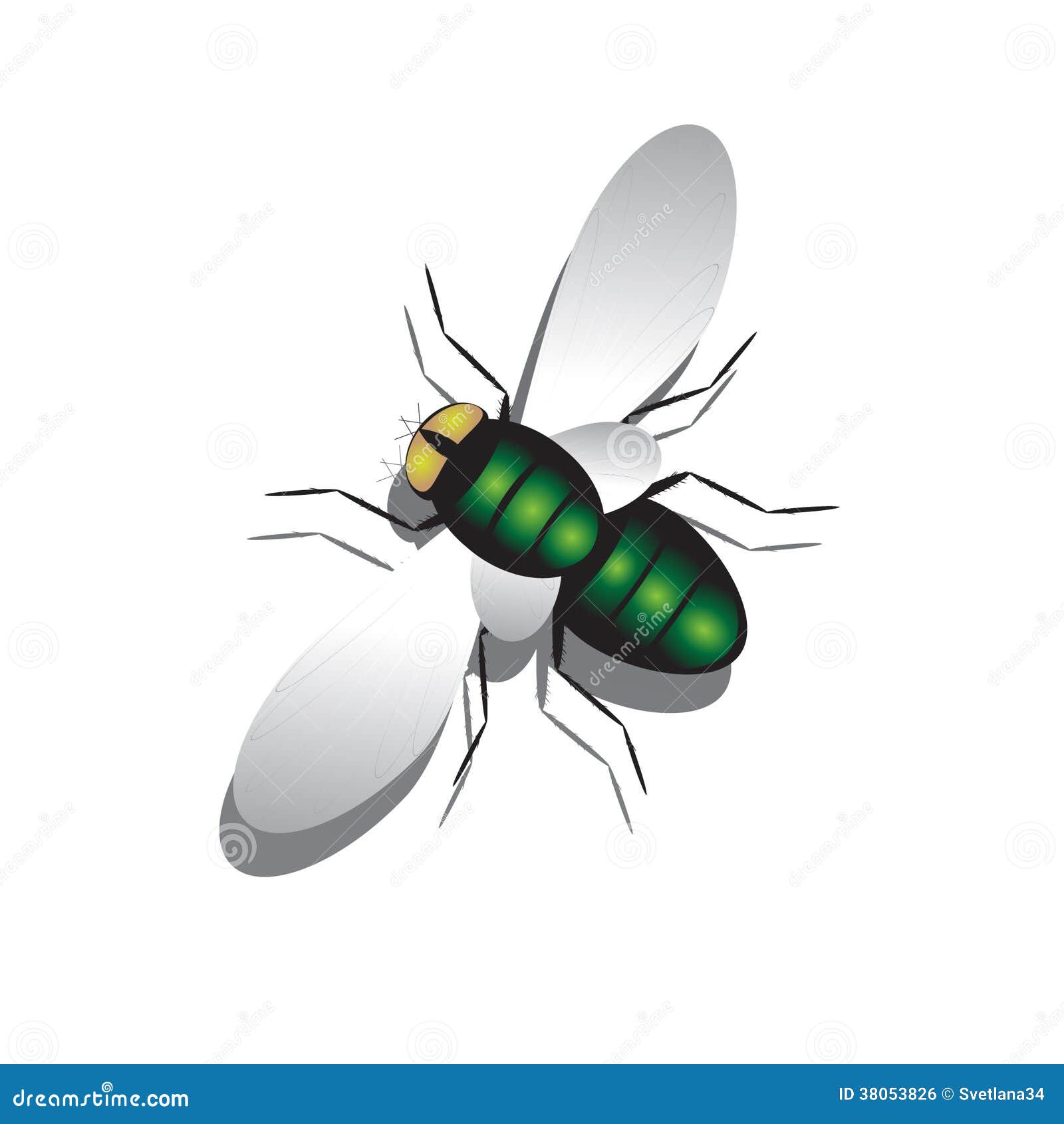 Mouche. illustration de vecteur. Illustration of vert - 38053826