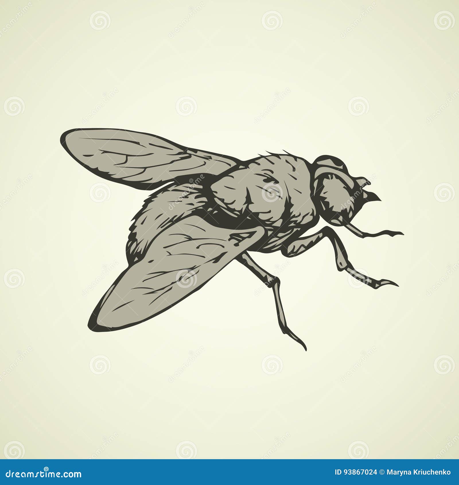 Mouche Retrait de vecteur illustration de vecteur. Illustration du noir ...