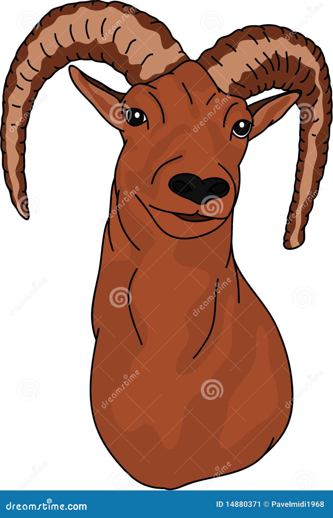 Moufflon Portrait Illustration, Drawing, Engraving, Ink, Line Art ...