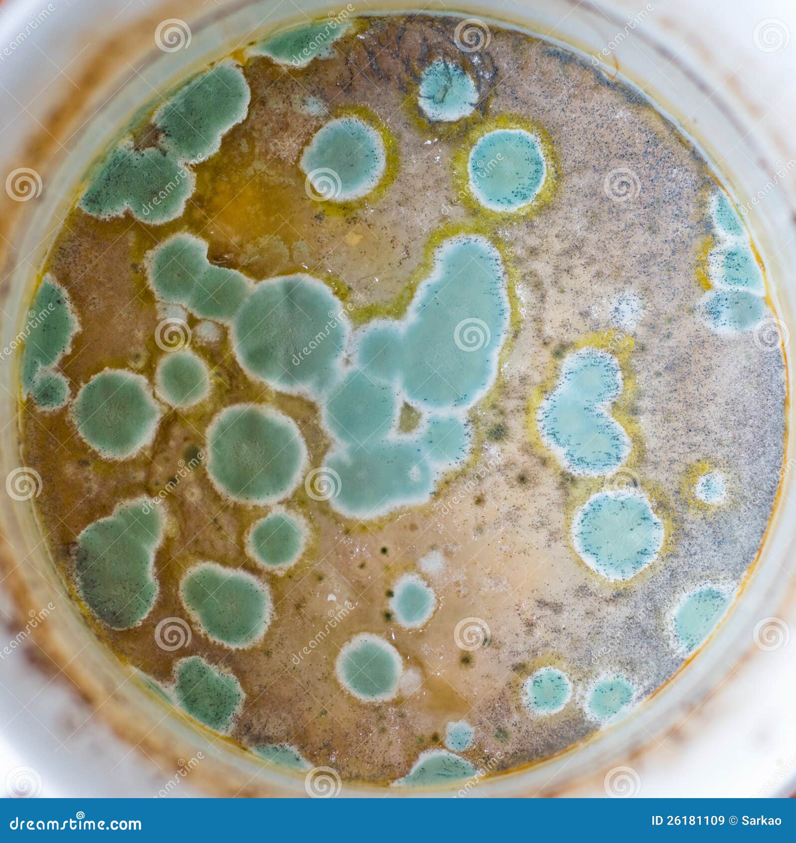 Disgusting Mould In Cup Of Strawberry Yogurt Stock Photo ...