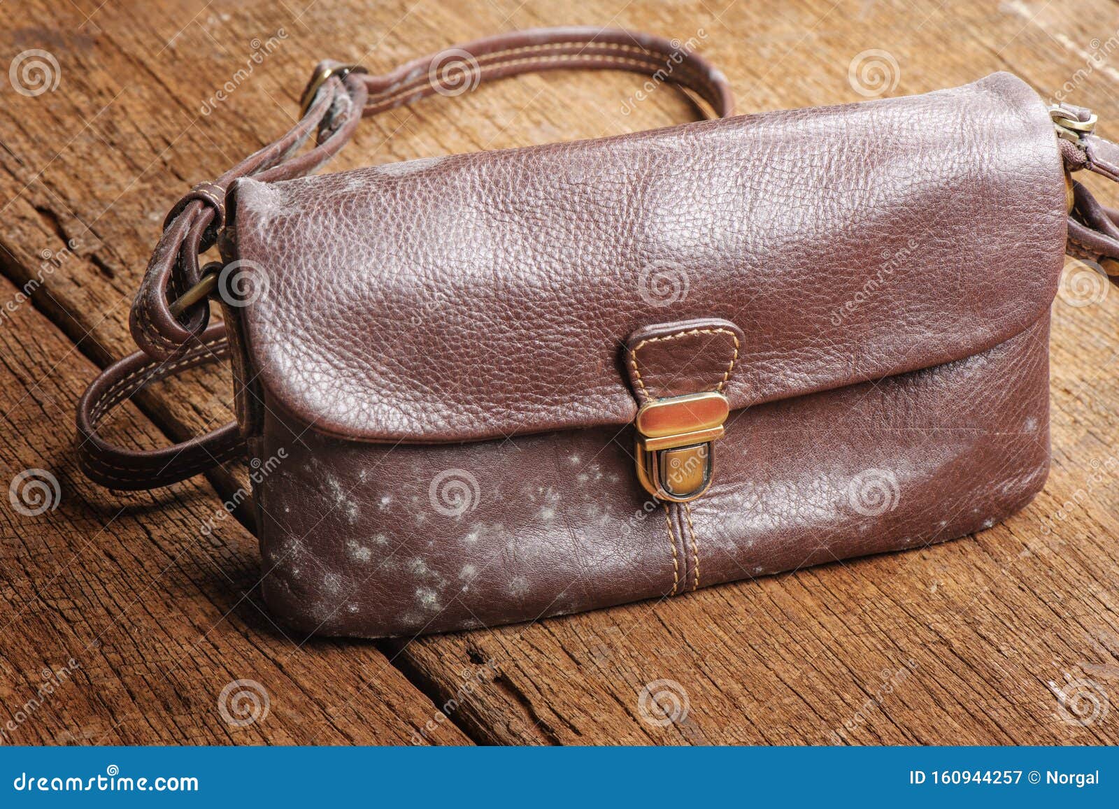 Mould on bag stock image. Image of dampness, fashion - 160944257