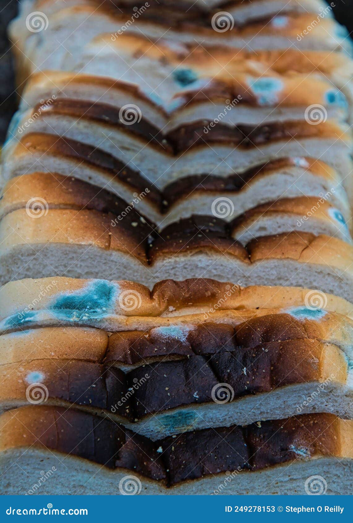 Mould Forming on Sliced Pan Bread Stock Image - Image of sliced, mould ...