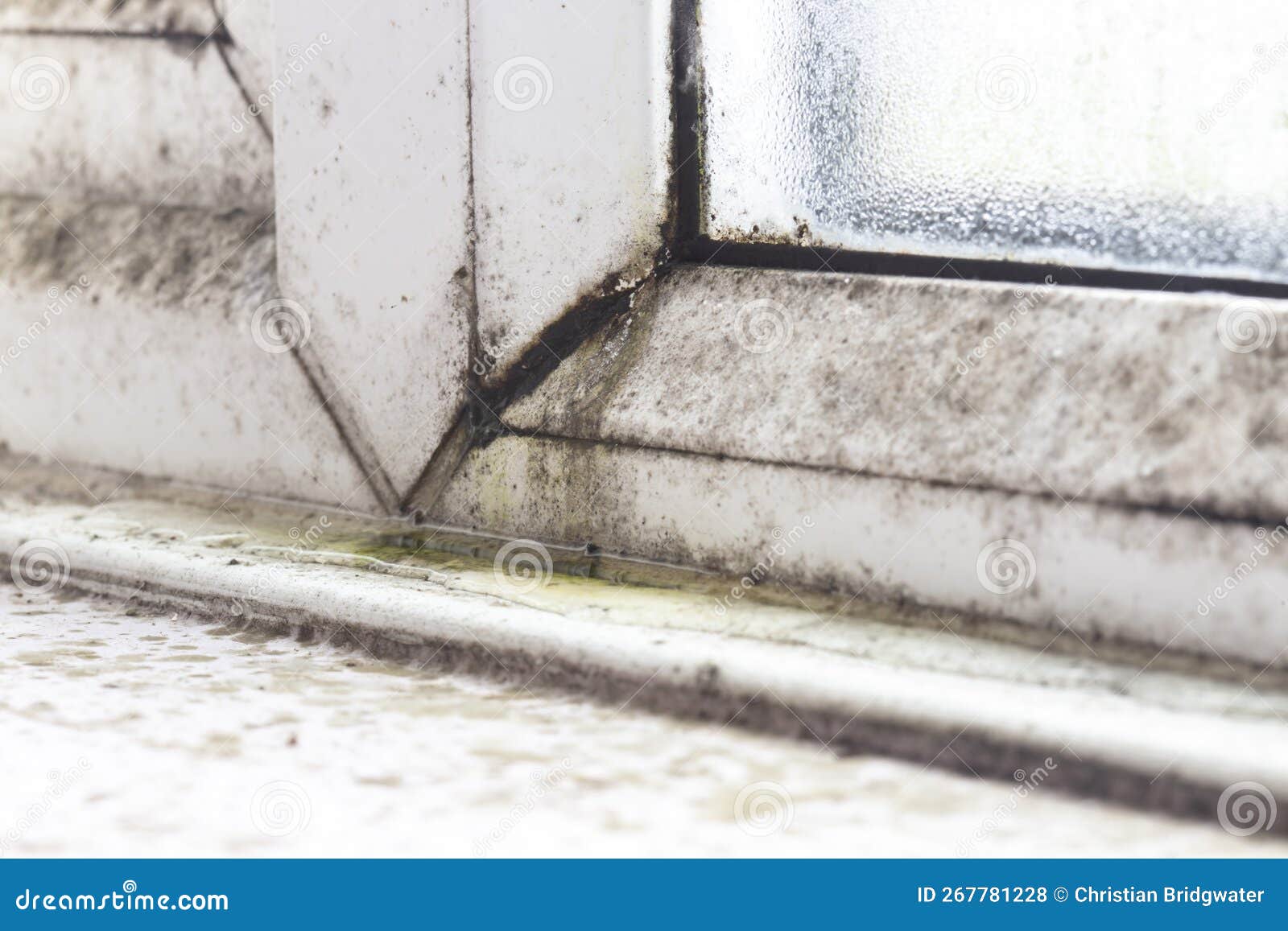 Mould, Mildew and Condensation on White Plastic Pvc Window Frame and ...