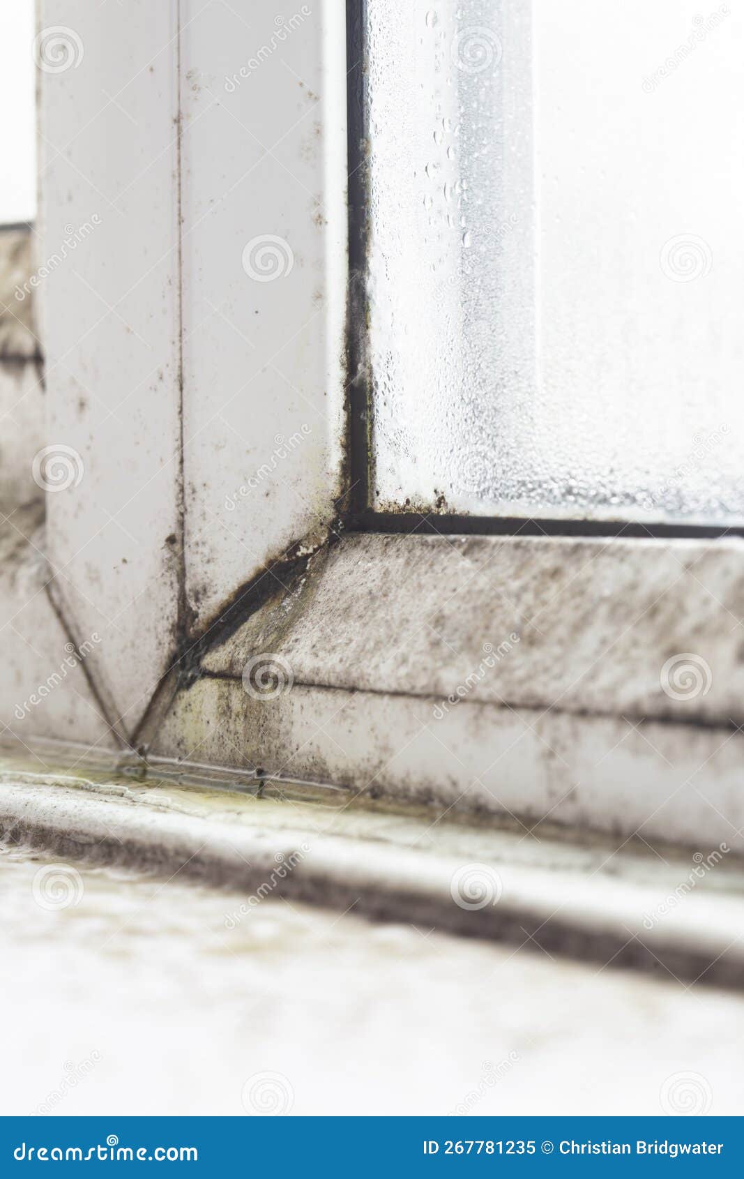 Mould, Mildew and Condensation on White Plastic Pvc Window Frame and ...