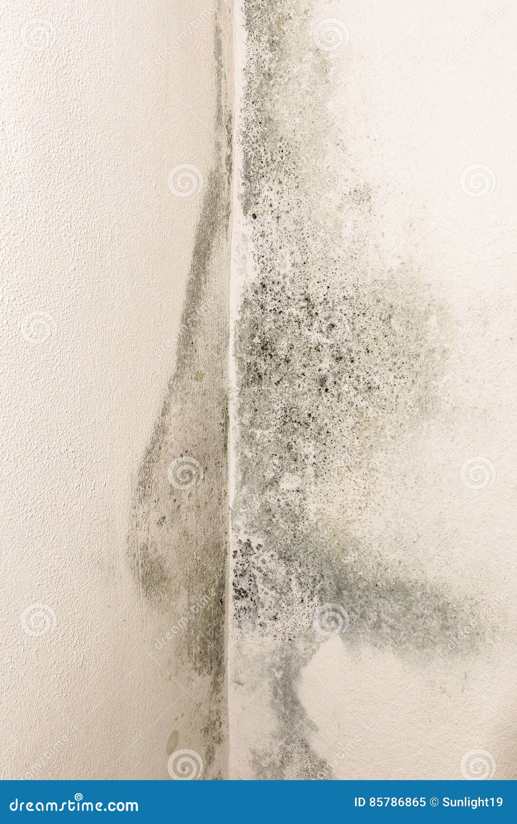 Mould and Moisture Build Up on a Wall Stock Image - Image of clumsiness ...