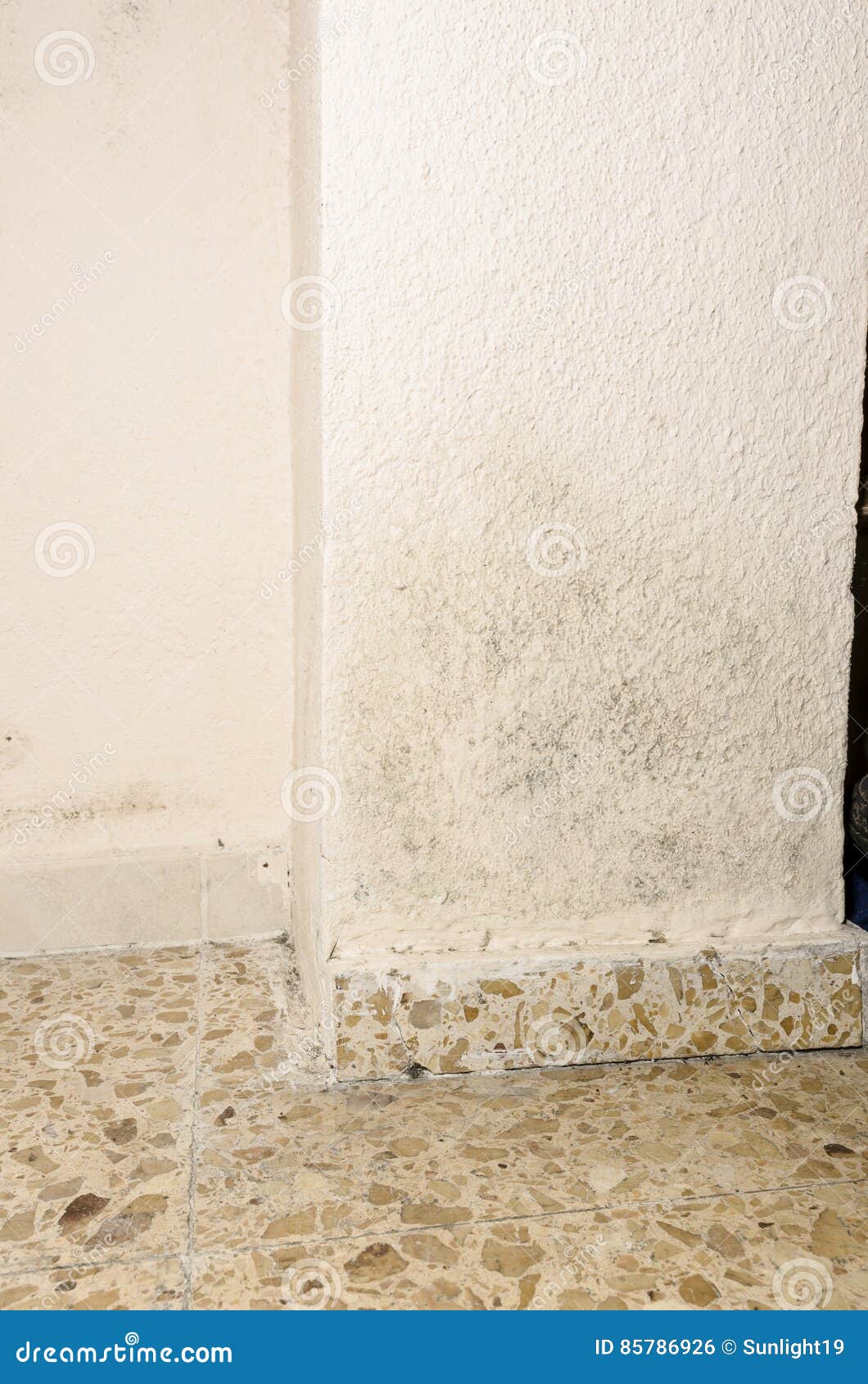 Mould and Moisture Build Up on a Wall Stock Photo - Image of asthma ...