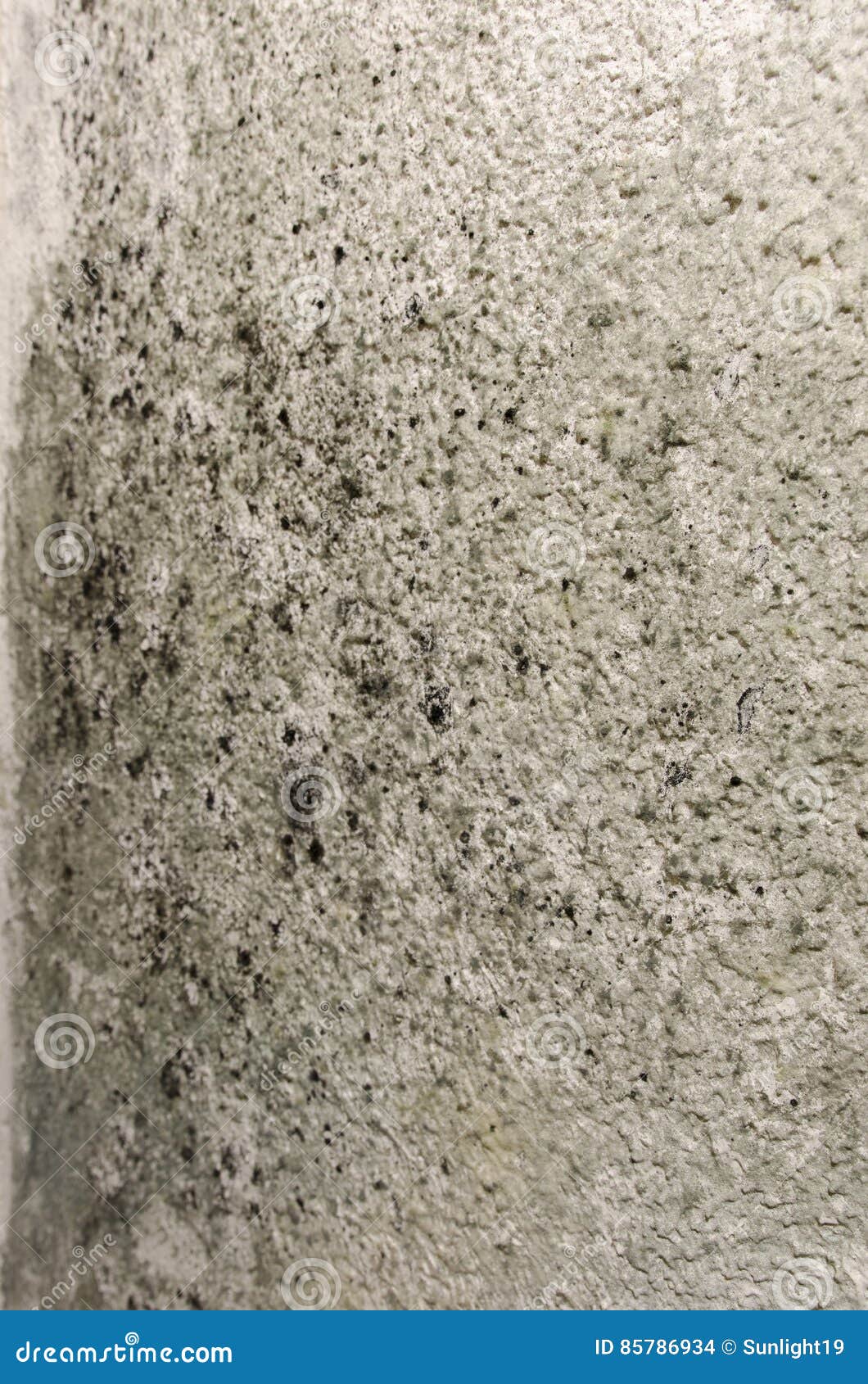 Mould and Moisture Build Up on a Wall Stock Photo - Image of dwelling ...