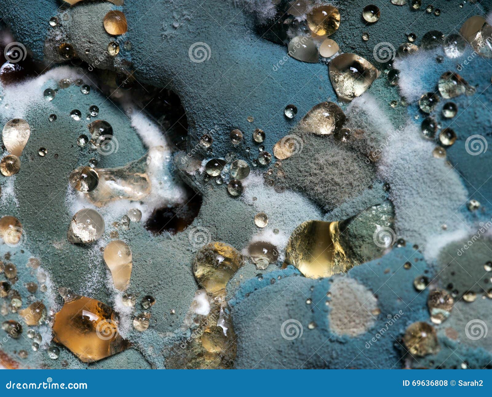 Mould Aka Mold, Fungi Macro. Putrefaction, Decomposition Of Organic ...