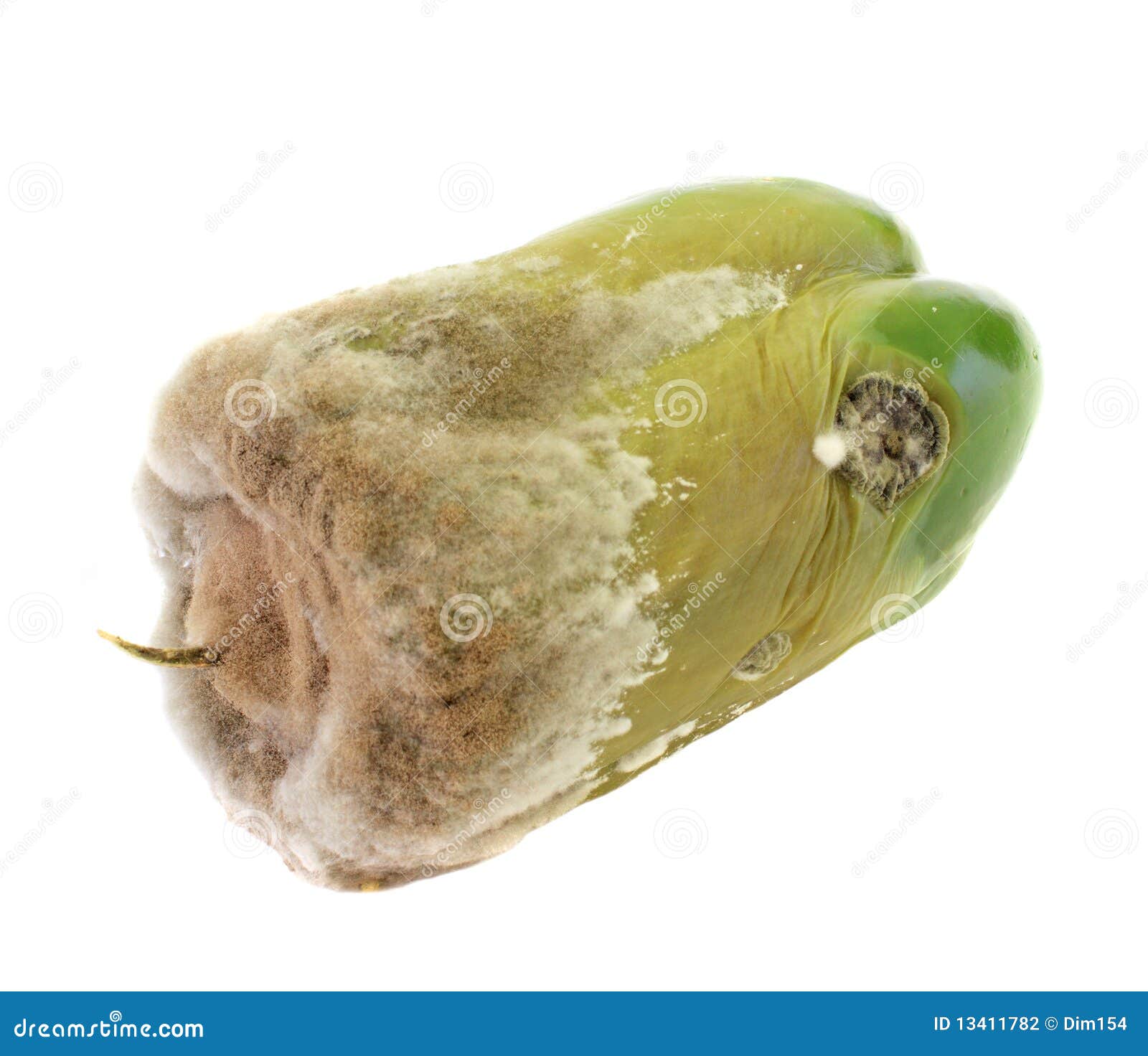 Mould on pepper stock photo. Image of vegetable, rotting - 13411782