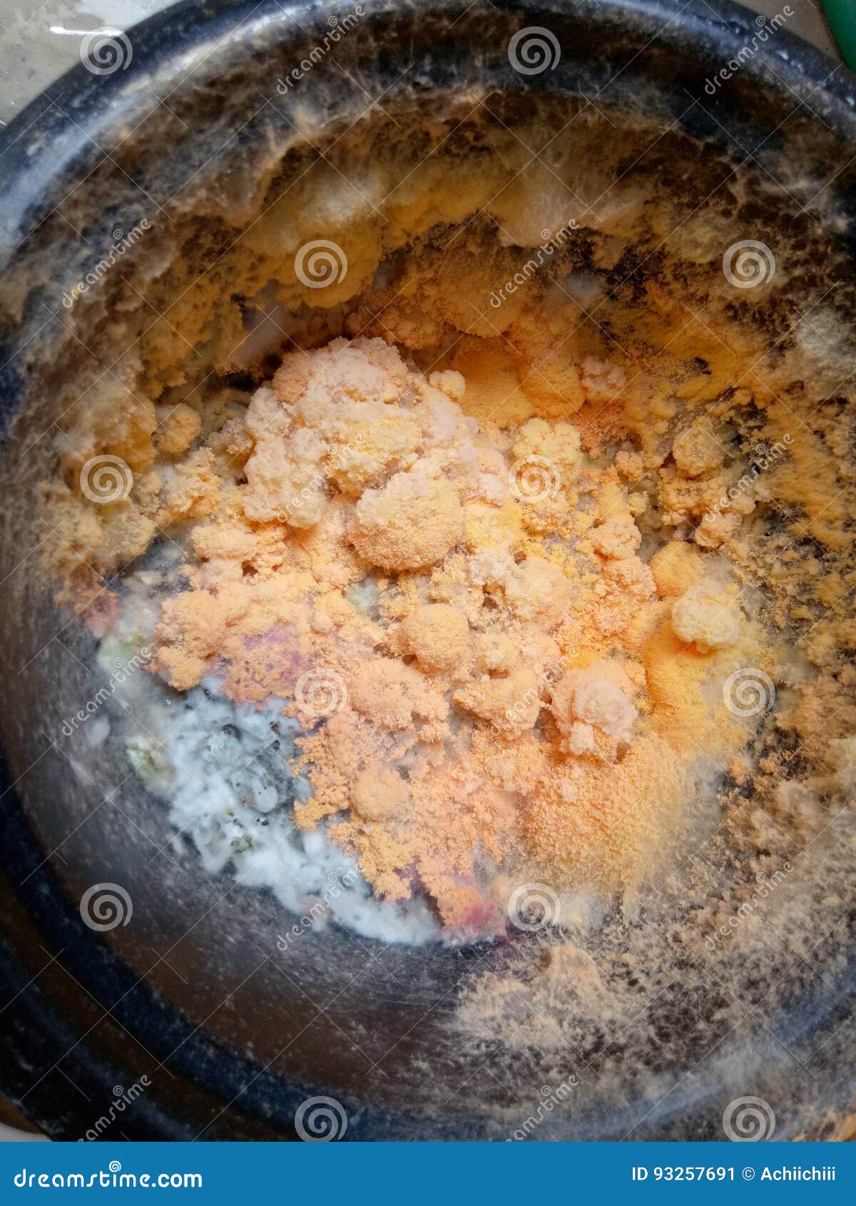 Mould stock image. Image of biology, antibacterial, mould - 93257691