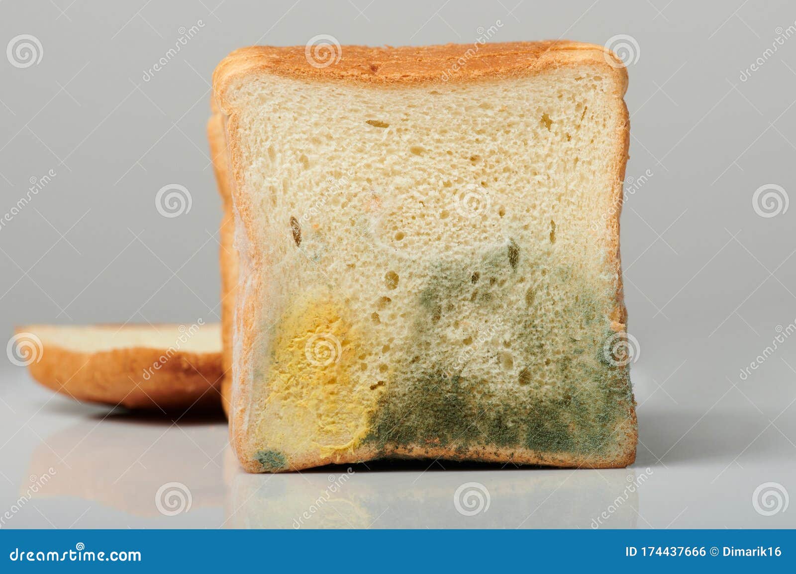 Mould on sliced bread stock photo. Image of brown, damaged - 174437666