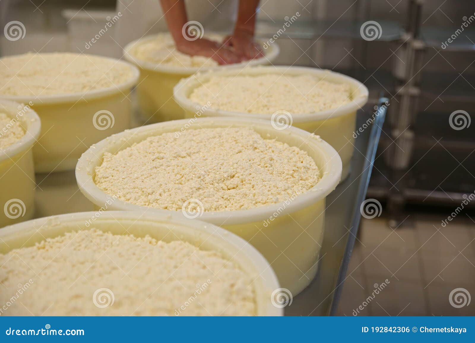 Moulds with Pressed Curd on Table at Cheese Factory Stock Photo - Image ...