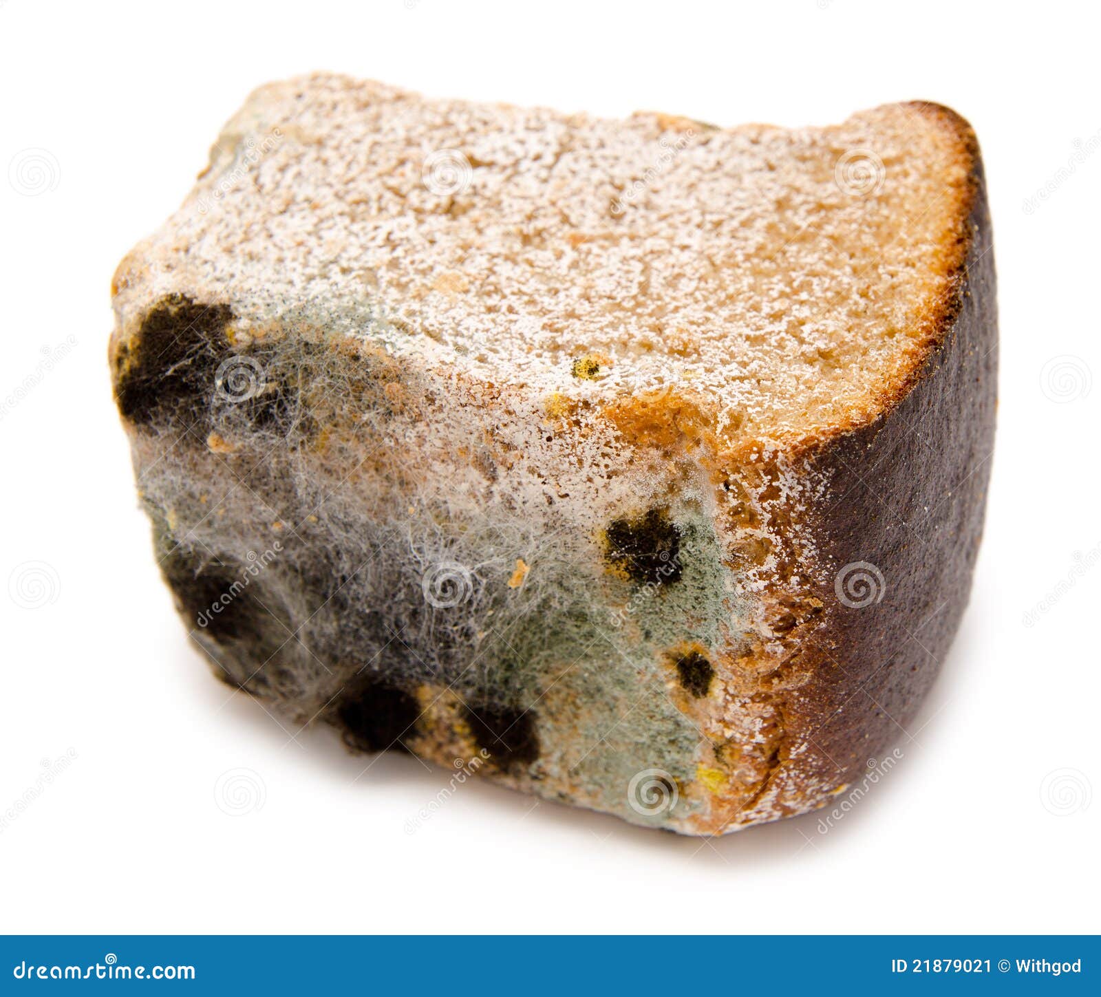 Mouldy Bread Stock Image - Image: 21879021