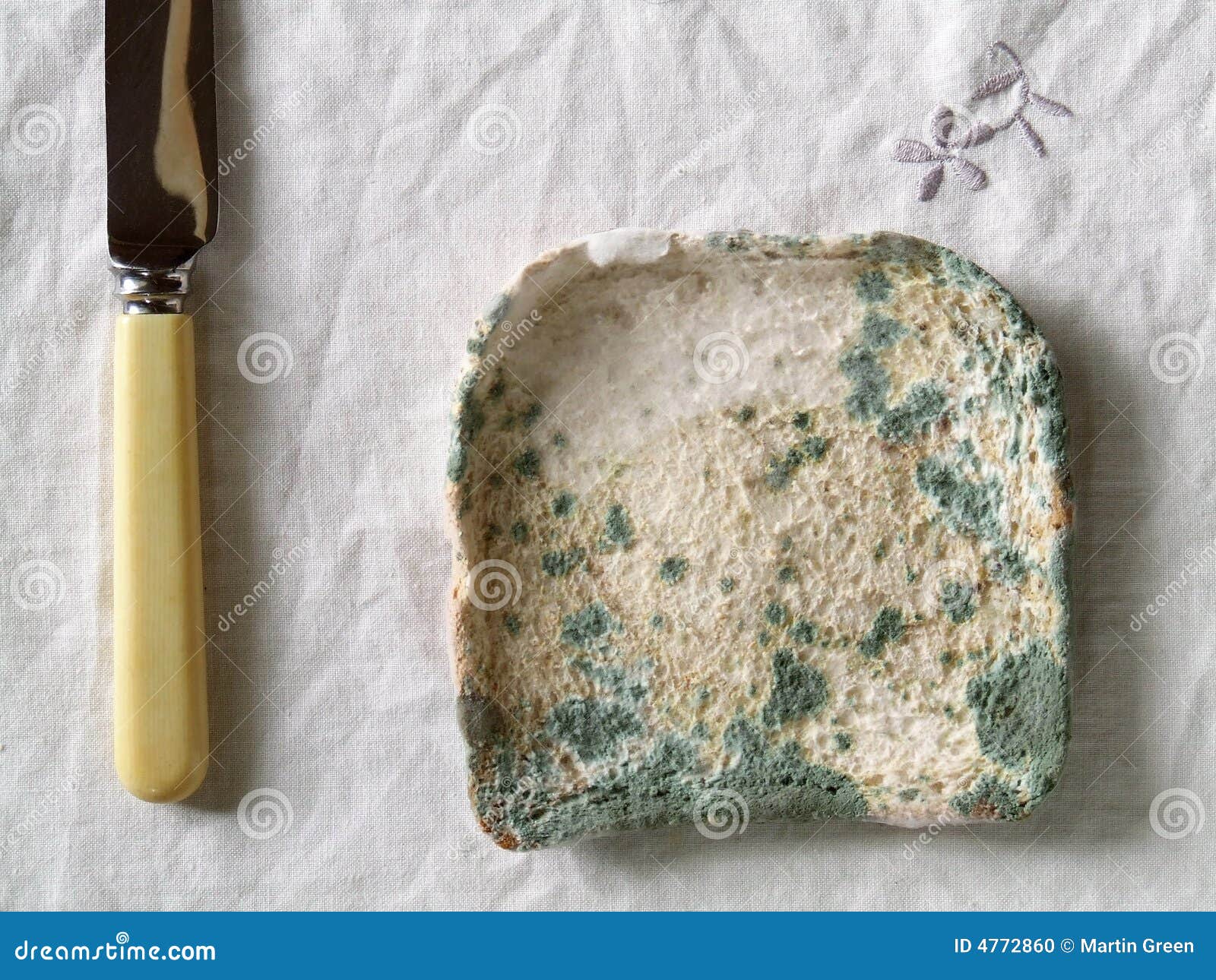 Mouldy Bread stock photo. Image of meal, fuzz, eating - 4772860