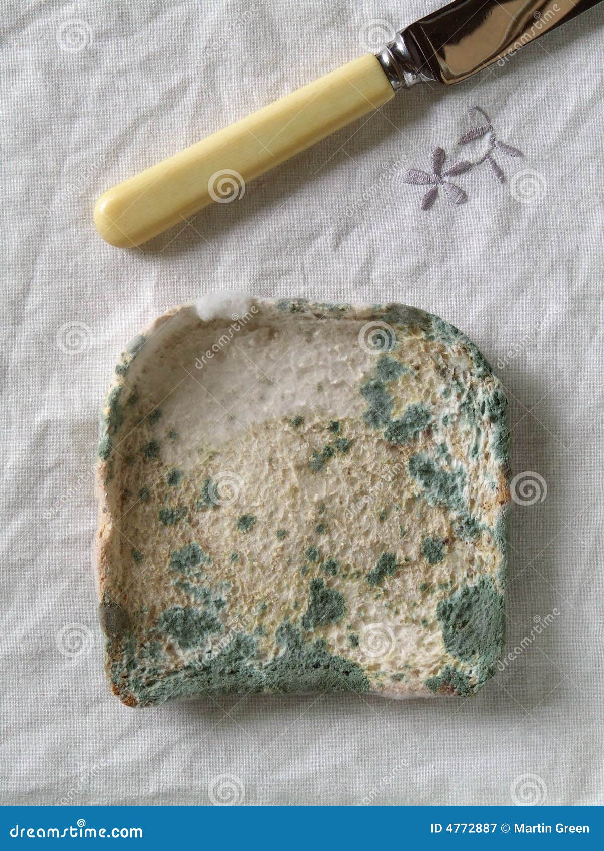 Mouldy Bread stock image. Image of crust, mold, keeping - 4772887