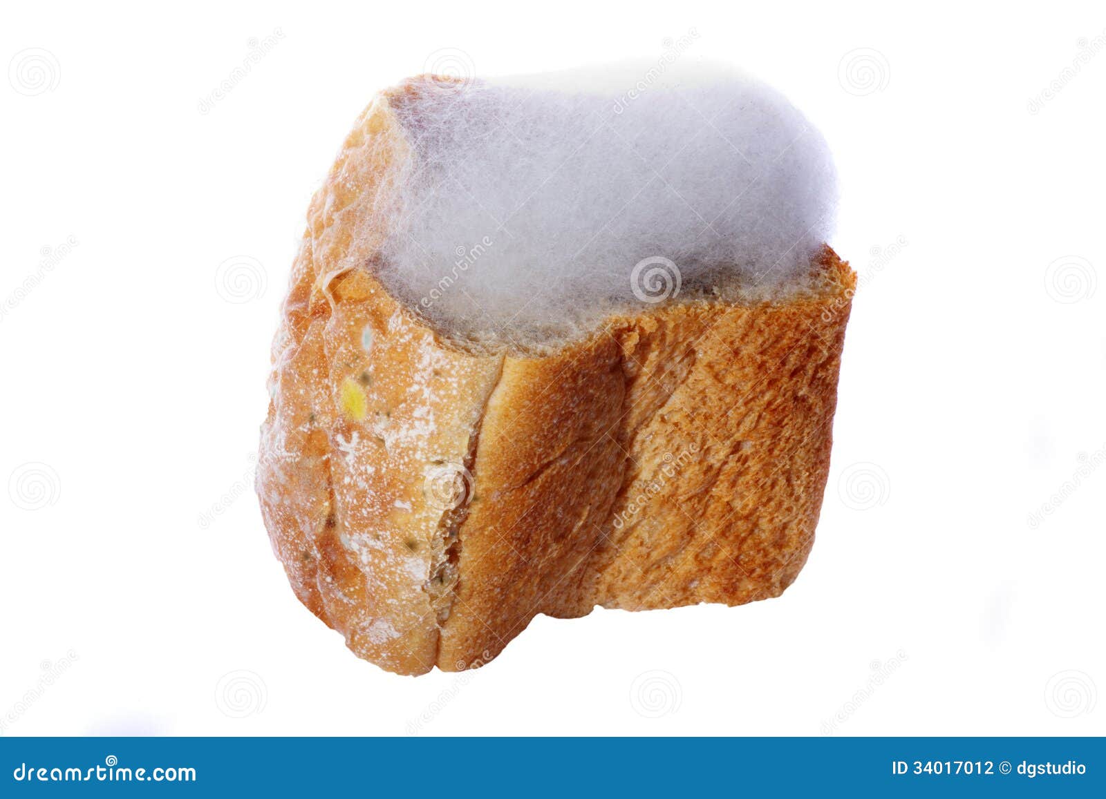 Mouldy Bread, Penicillium Mold Royalty-Free Stock Image | CartoonDealer ...