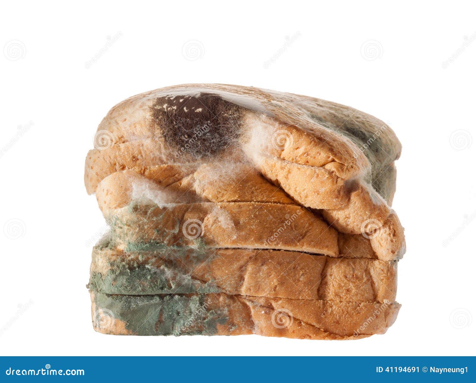 Mouldy Bread Isolated on White Background. Stock Image - Image of ...