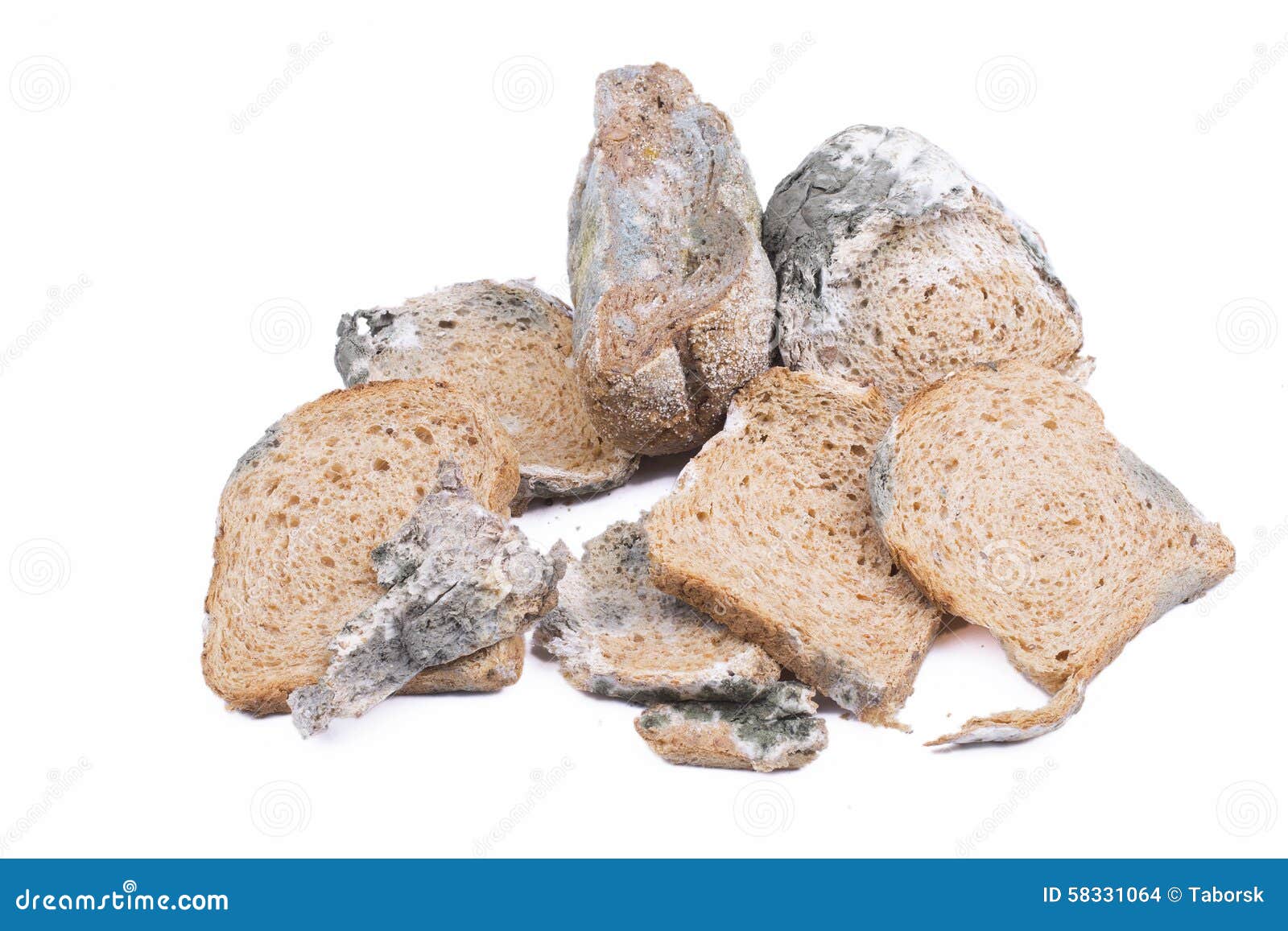 Mouldy bread stock photo. Image of bread, cereal, decay - 58331064