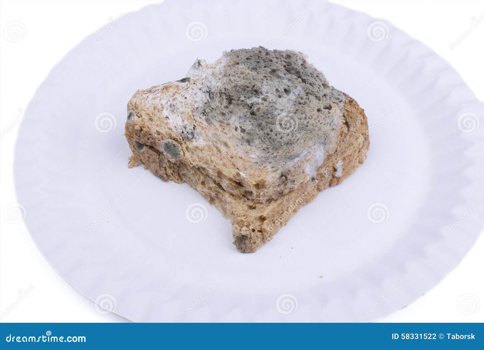 Mouldy bread stock photo. Image of biology, cereal, healthy - 58331522