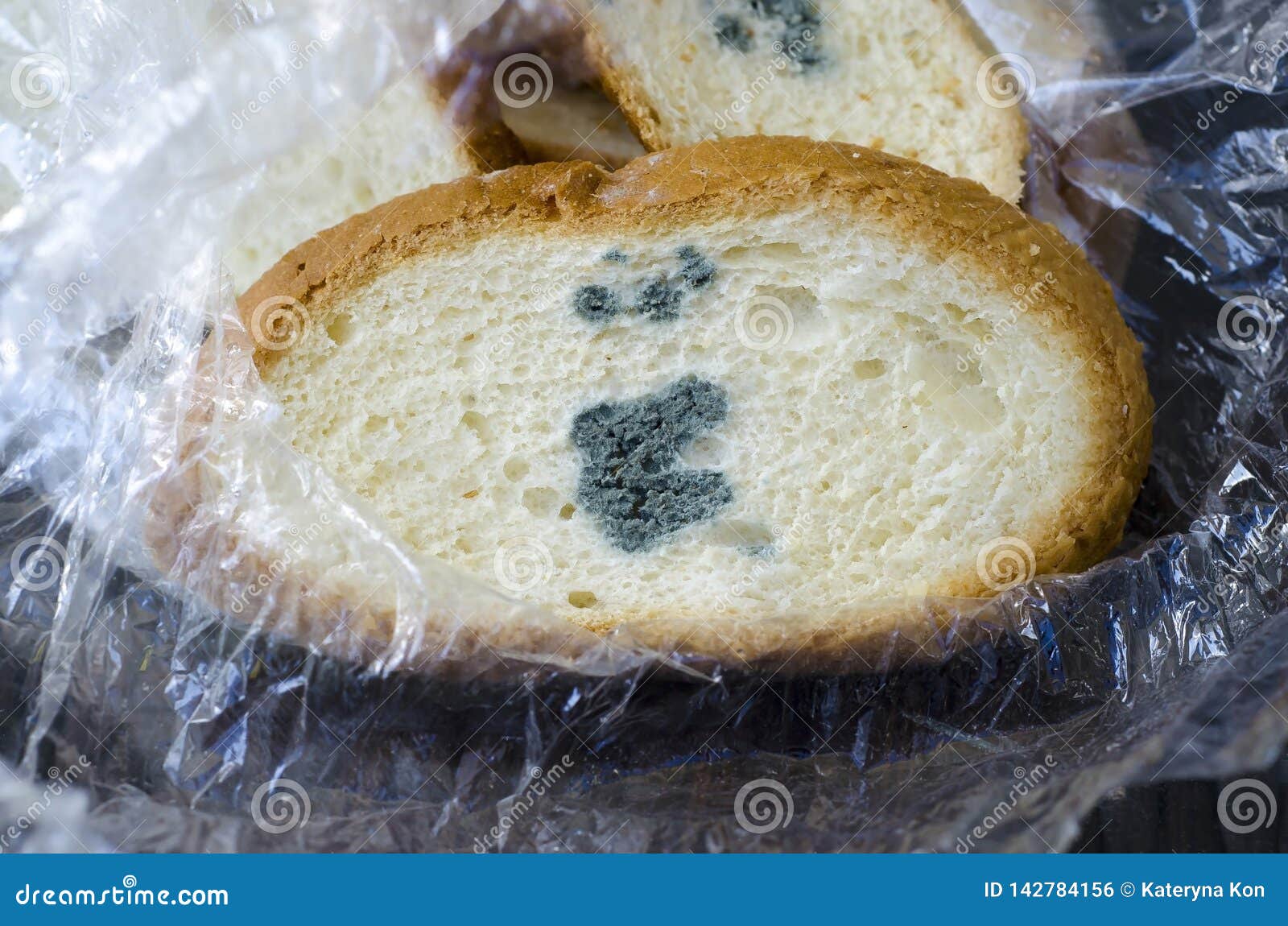 Mouldy Bread, Penicillium Mold Stock Photo - Image of penicillium ...