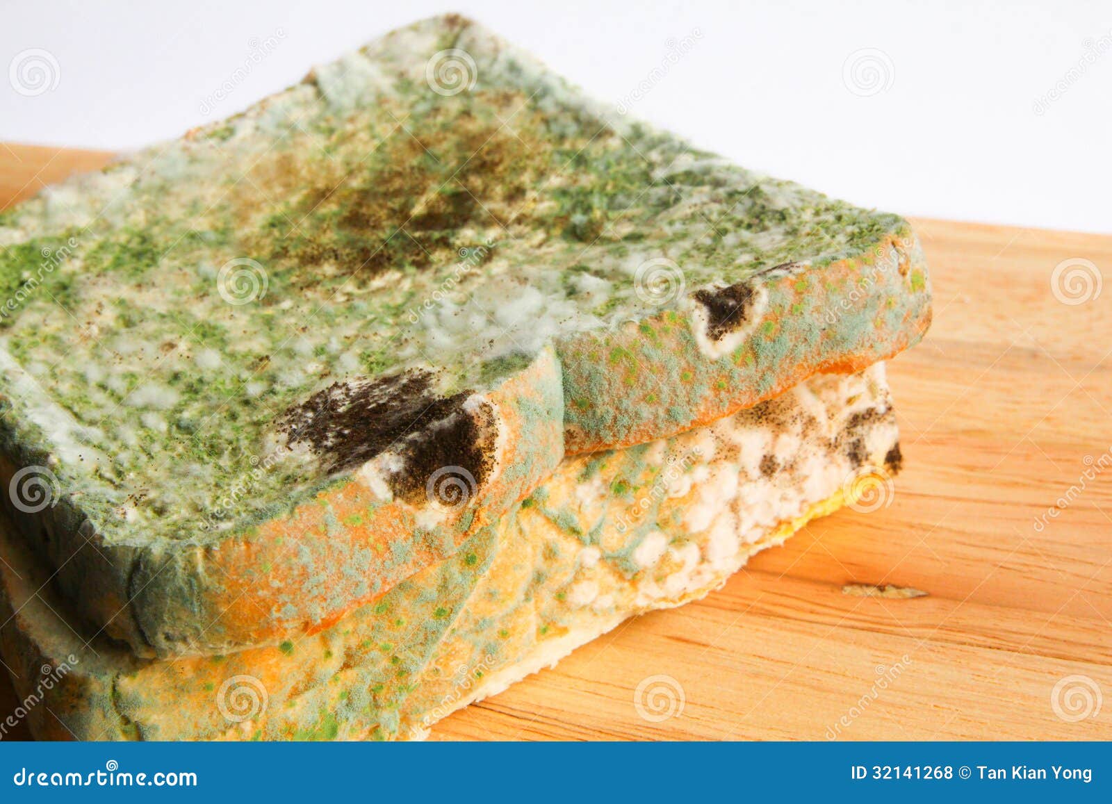 Mouldy bread - Series 3 stock photo. Image of bread, moldy - 32141268