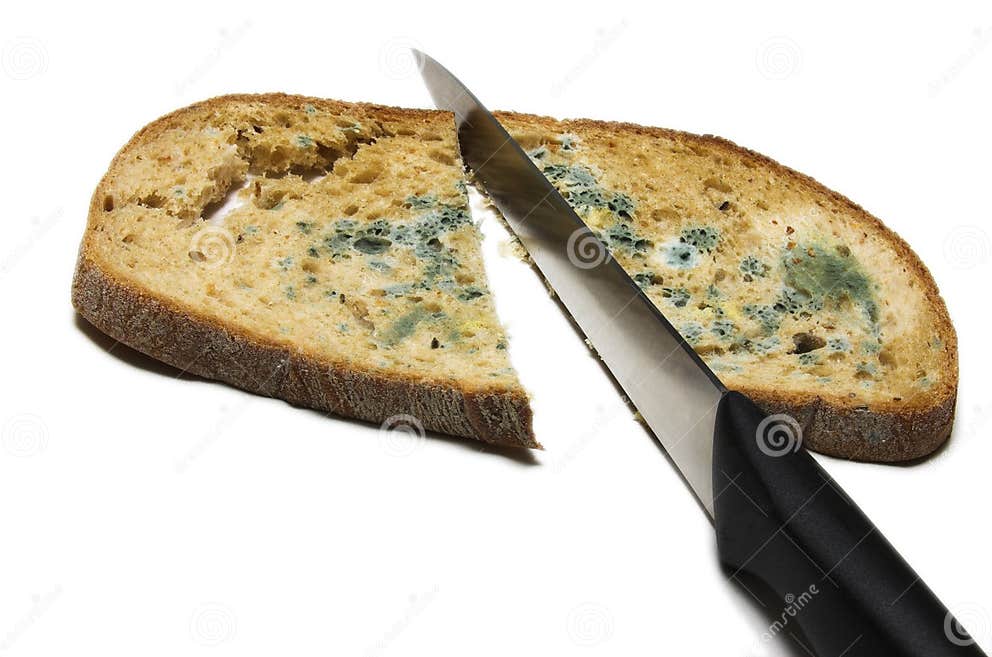 Mouldy bread slice in two stock image. Image of sandwich - 2426643