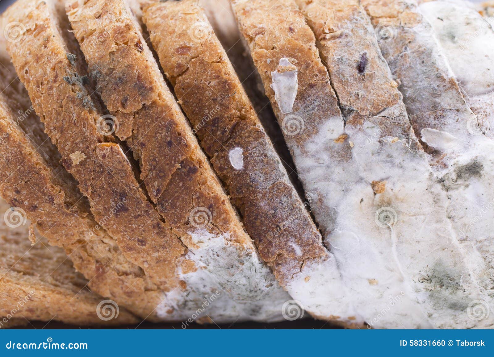 Mouldy bread stock photo. Image of fungus, food, cereal - 58331660