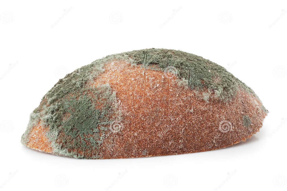Mouldy bread stock photo. Image of danger, macro, process - 30507764
