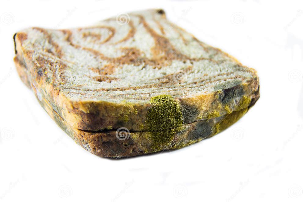 Mouldy bread stock photo. Image of dangerous, moldiness - 42267704