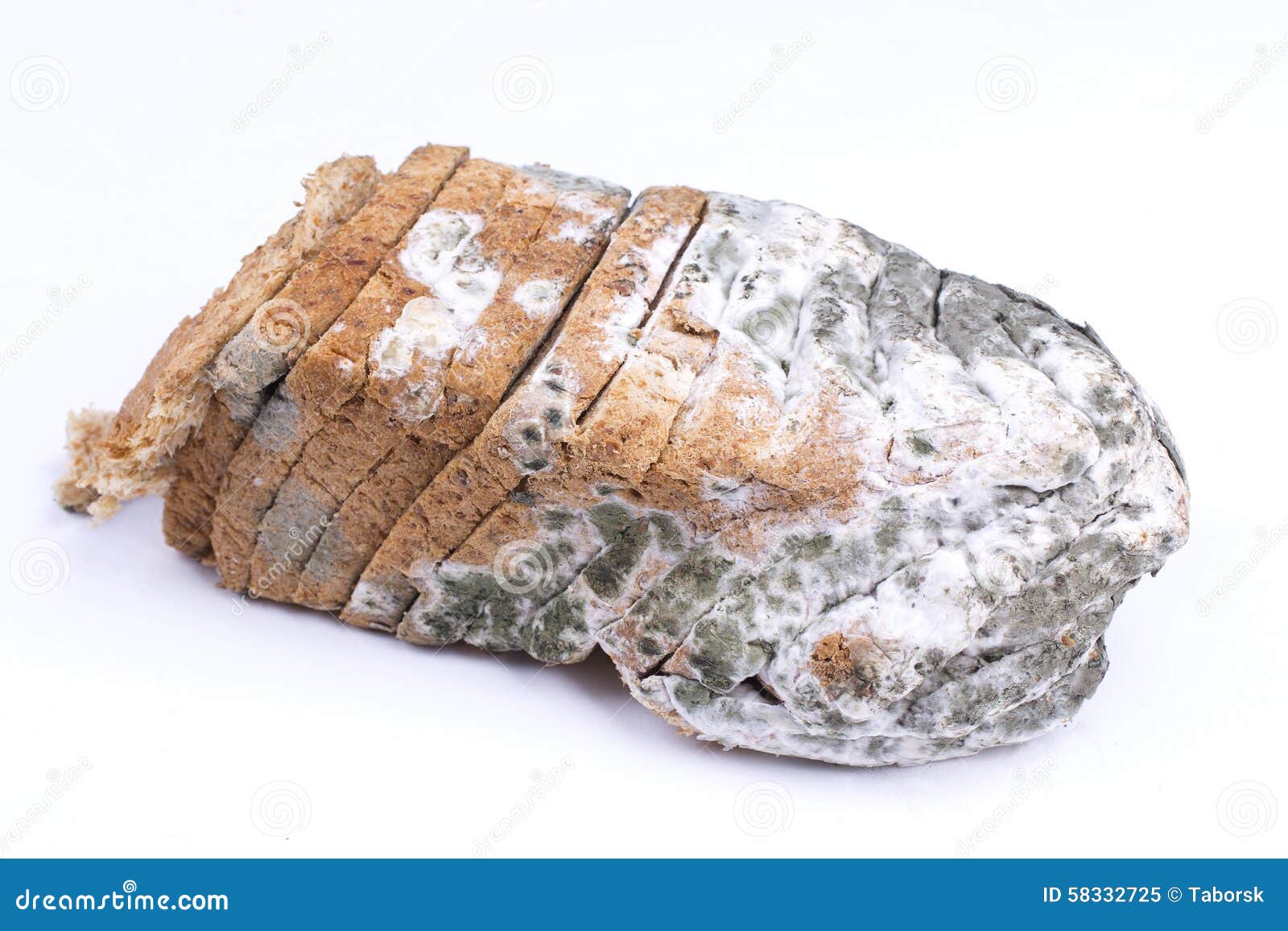 Mouldy bread stock image. Image of mycelium, isolated - 58332725