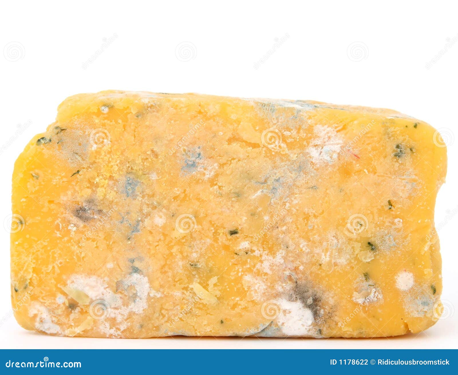 Mouldy cheese stock photo. Image of mature, medical, bacteria - 1178622