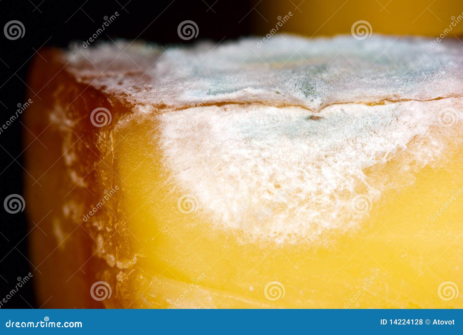 Mouldy cheese stock photo. Image of substance, closeup - 14224128