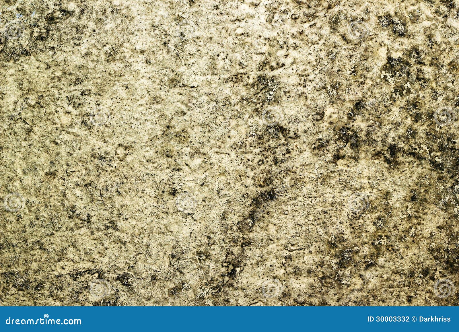 Mouldy wall stock photo. Image of mold, water, degradated - 30003332