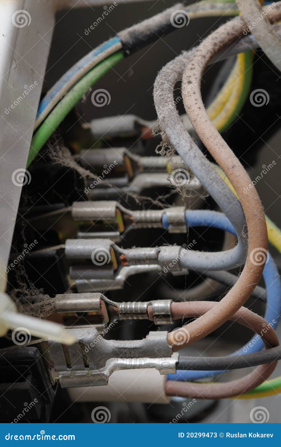 Mouldy electric cables. stock image. Image of mildewed - 20299473
