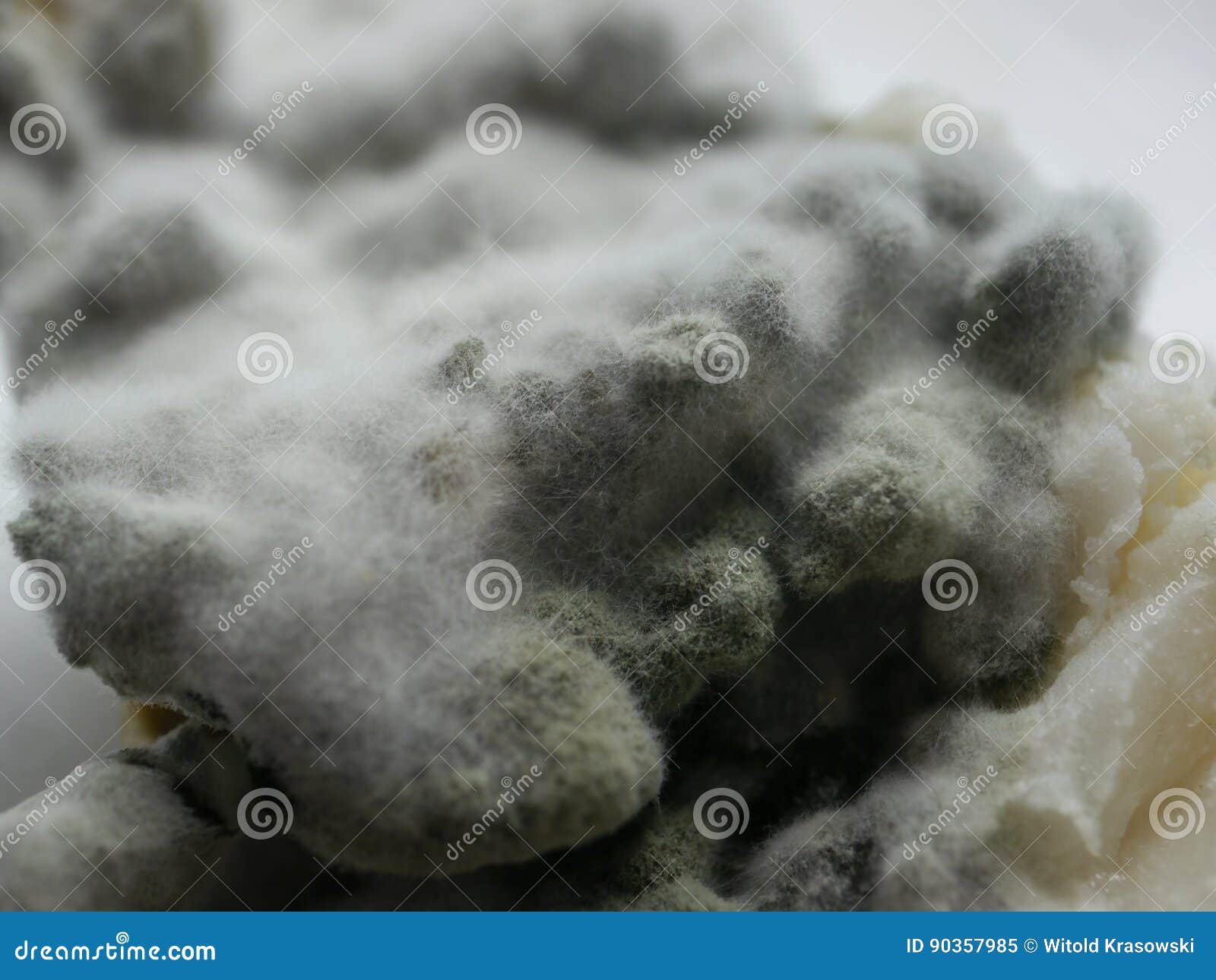 Mouldy food stock image. Image of contaminated, harmful - 90357985